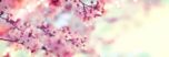 When is the first day of spring? 2023 - National Today