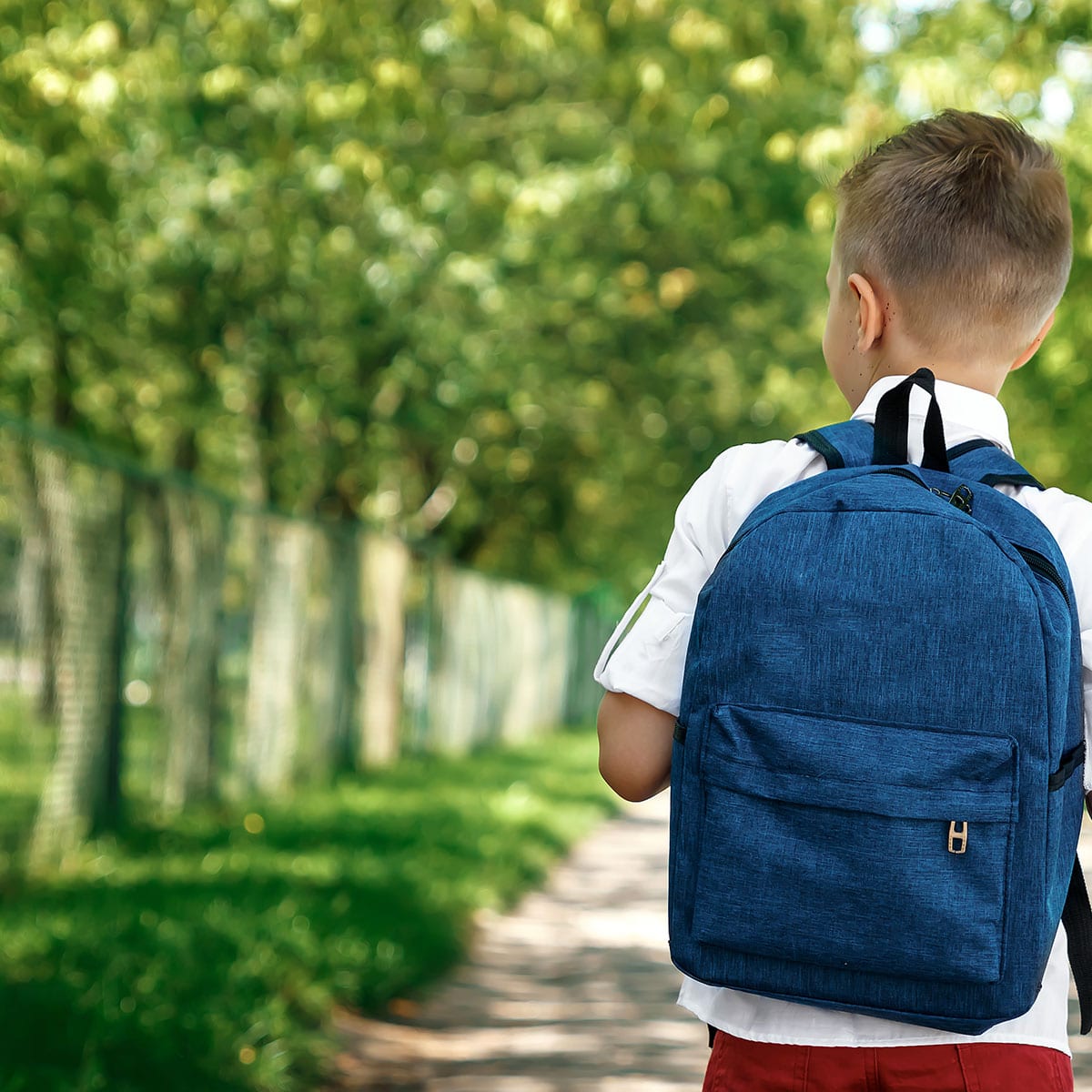 August Month School Calendar 2022