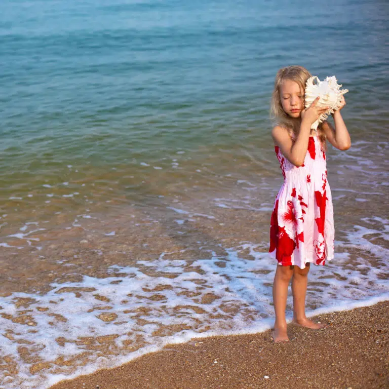 COLLECT ROCKS DAY - September 16, 2026 - National Today