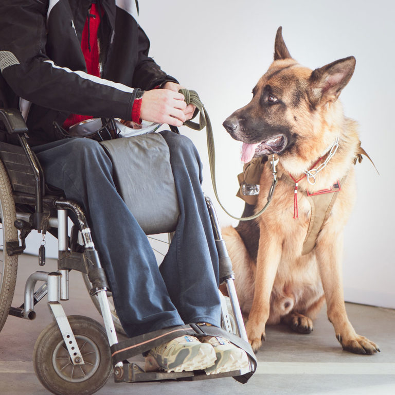 PSYCHIC DAY - August 3, 2025 - National Today