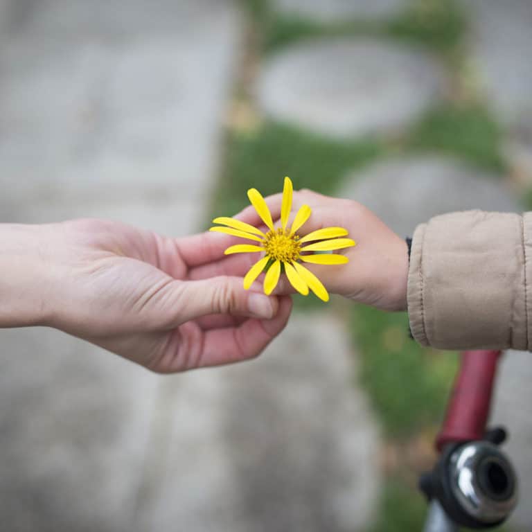 KINDNESS WEEK - November 9-15, 2026 - National Today