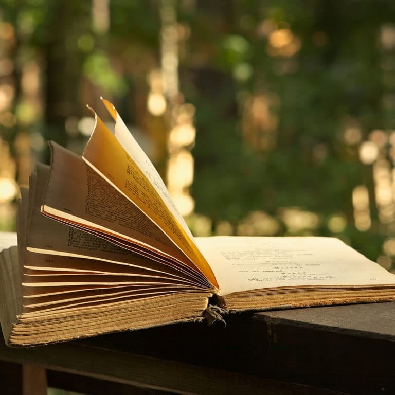 March 21 | Holidays, Birthdays, Events