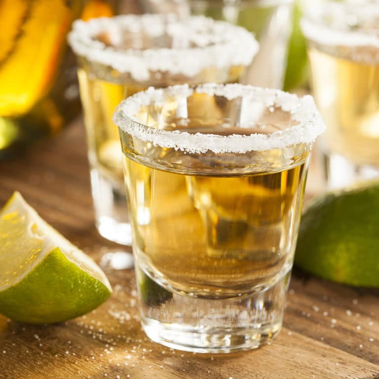 WORLD PALOMA DAY - May 22, 2026 - National Today