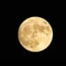 National Moon Day