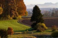 Fall Equinox: Where to Watch the Fall Colors