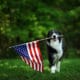 September 2 Holidays & Observances | National Today