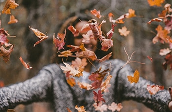 National Pumpkin Day 2019 — Pumpkin History and Related Holidays