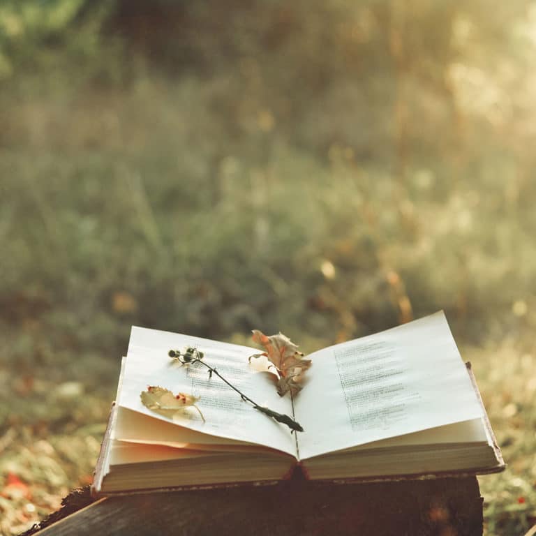 GREAT POETRY READING DAY - April 28, 2026 - National Today