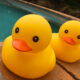NATIONAL RUBBER DUCKY DAY - January 13, 2026 - National Today