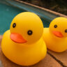 NATIONAL RUBBER DUCKY DAY - January 13, 2026 - National Today