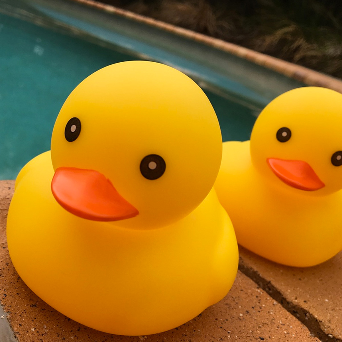 NATIONAL RUBBER DUCKY DAY January 13 2024 National Today NATIONAL RUBBER DUCKY DAY January 13 2024 National Today