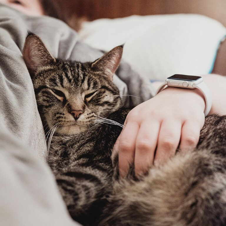 National Text Your Ex Day — Text Ideas and Related Holidays