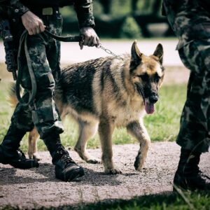 KEN DAY - March 13, 2026 - National Today