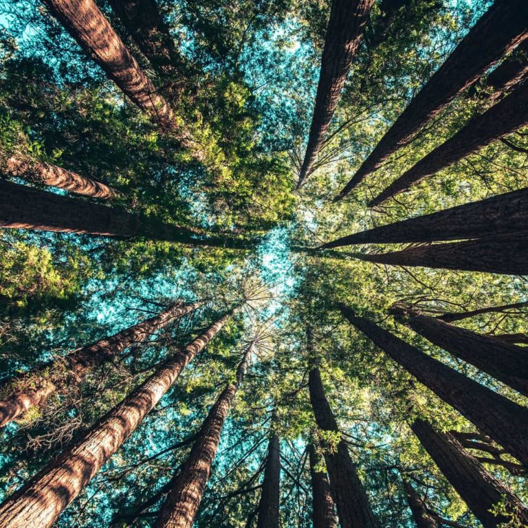 NATIONAL FROG JUMPING DAY - May 13, 2026 - National Today