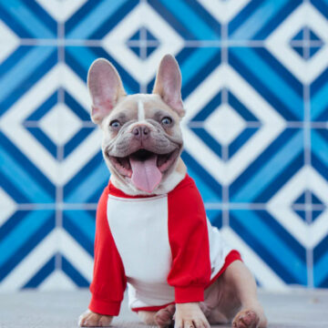 NATIONAL BUBBA DAY - June 2, 2025 - National Today