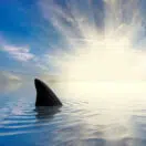 MHIP DAY - July 6, 2025 - National Today