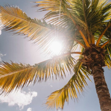 July 3 Holidays & Observances | National Today