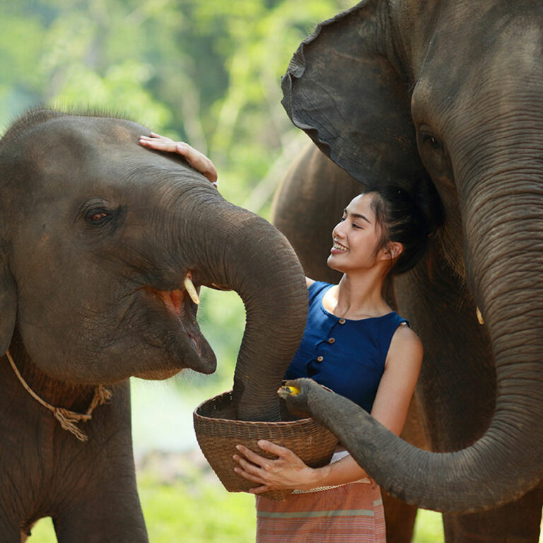 THE SEPTEMBER EQUINOX - September 22, 2025 - National Today