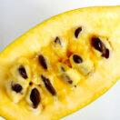 NATIONAL PAWPAW DAY - September 18, 2025 - National Today