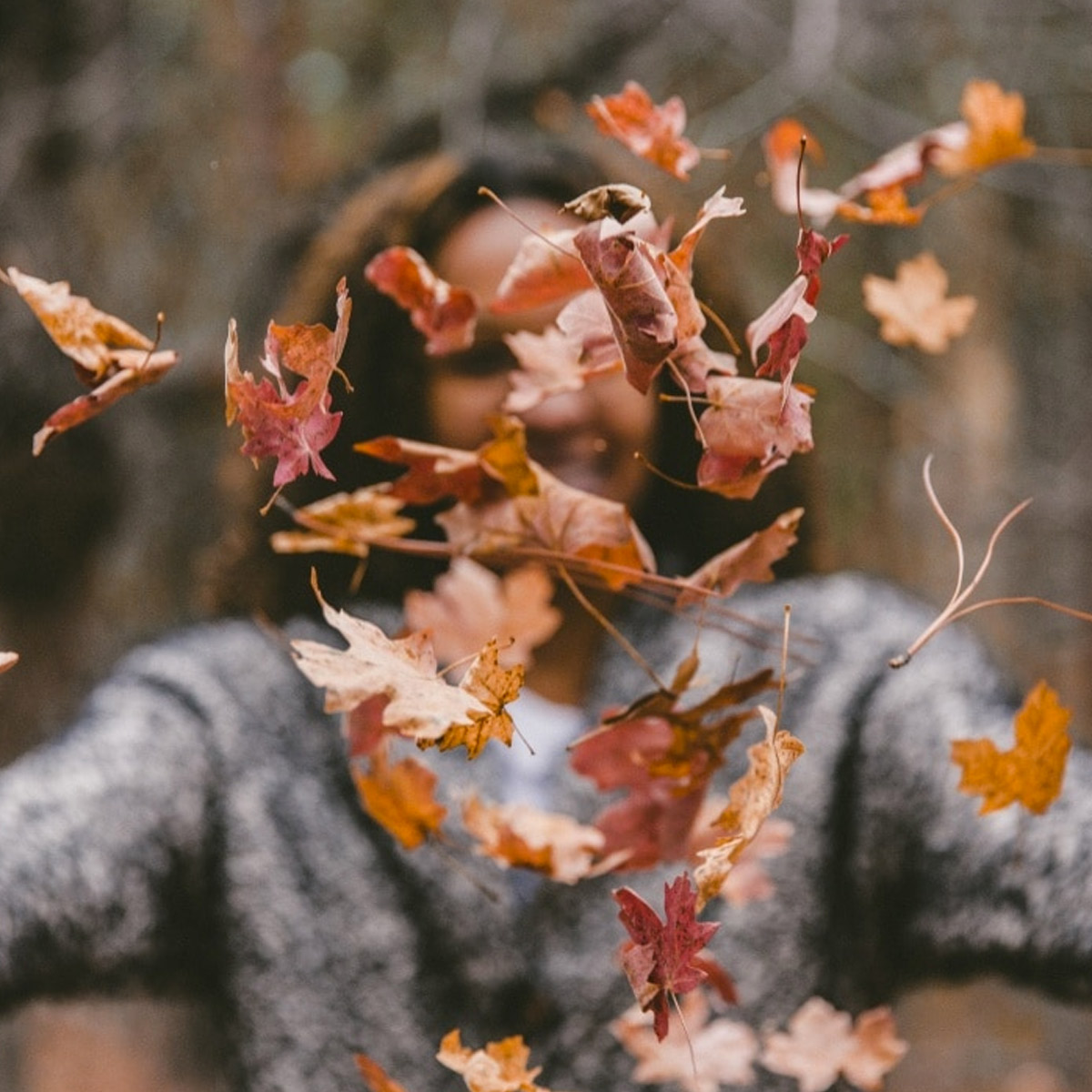 Fall Equinox Where To Watch The Fall Colors