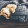 October 29 | Holidays, Birthdays, Events