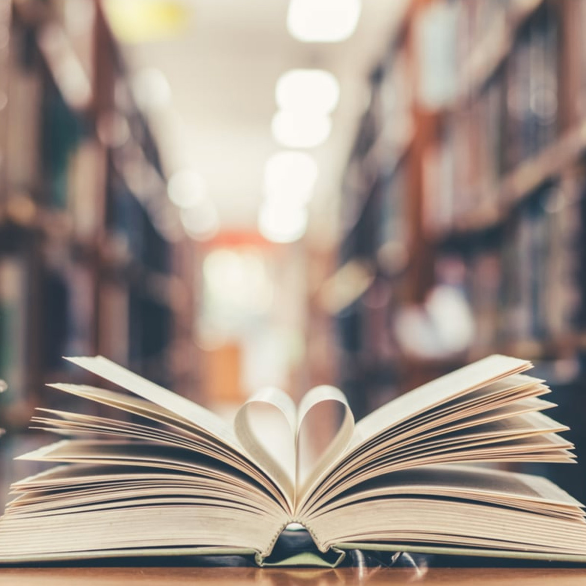 NATIONAL EDUCATION WEEK - November 17-21, 2025 - National Today