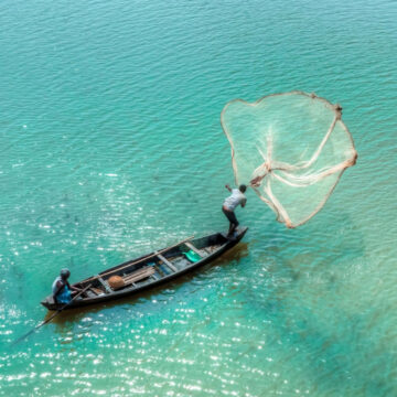 INTERNATIONAL WHALE SHARK DAY - August 30, 2026 - National Today