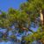 GREEN MONDAY CYPRUS - March 15, 2027 - National Today