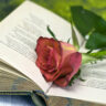 GREAT POETRY READING DAY - April 28, 2026 - National Today