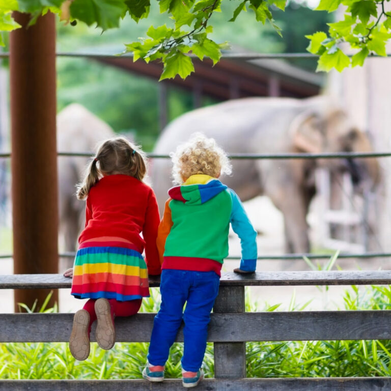 VISIT THE ZOO DAY - December 27, 2025 - National Today