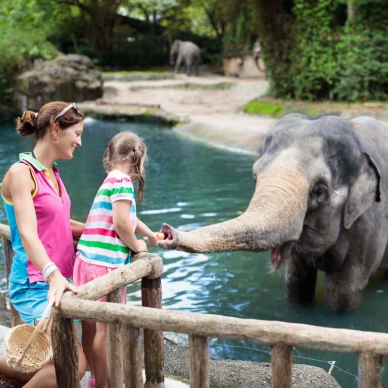 NATIONAL ZOOKEEPER WEEK - July 19-25, 2026 - National Today