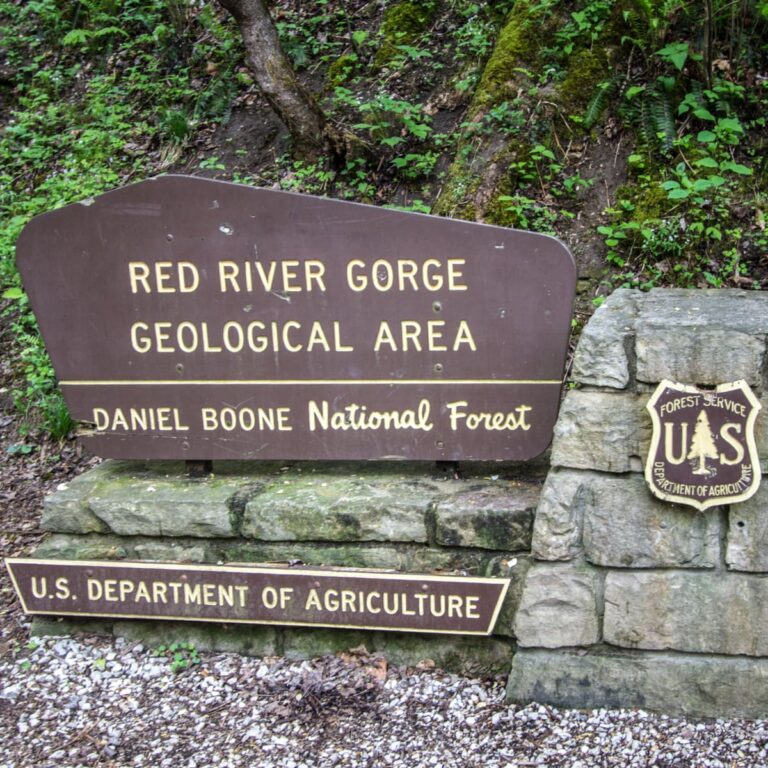 WORLD CARING DAY - June 7, 2025 - National Today