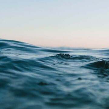 NATIONAL SEASHELL DAY - June 21, 2026 - National Today