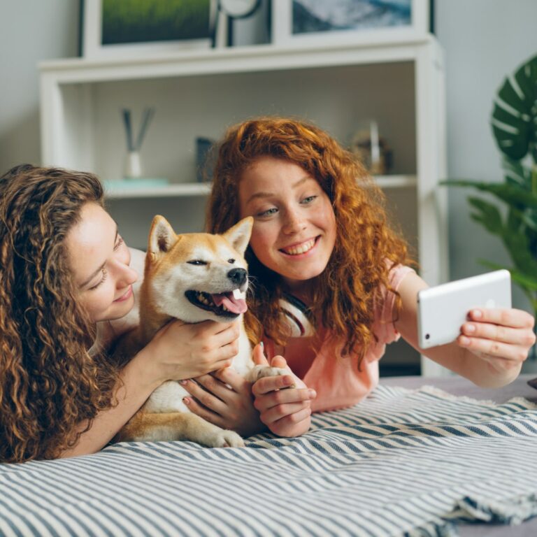 DAY OF THE FLEMISH COMMUNITY - July 11, 2026 - National Today