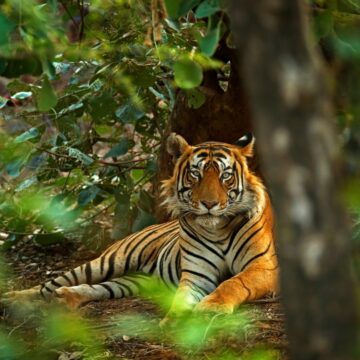 NATIONAL GET GNARLY DAY - July 29, 2026 - National Today