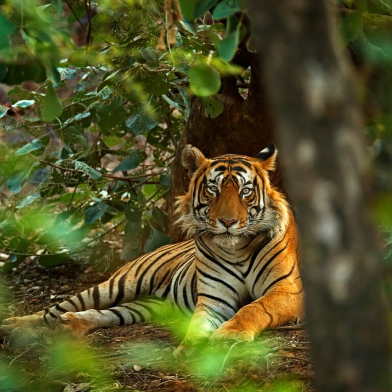 NATIONAL GET GNARLY DAY - July 29, 2026 - National Today