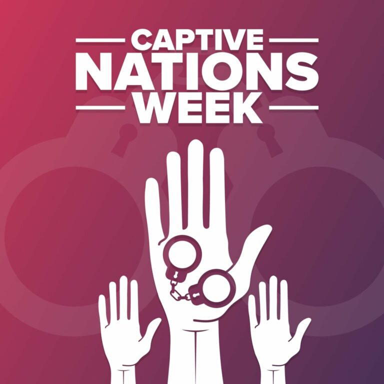 NATIONAL SWIMMING POOL DAY - July 11, 2024 - National Today