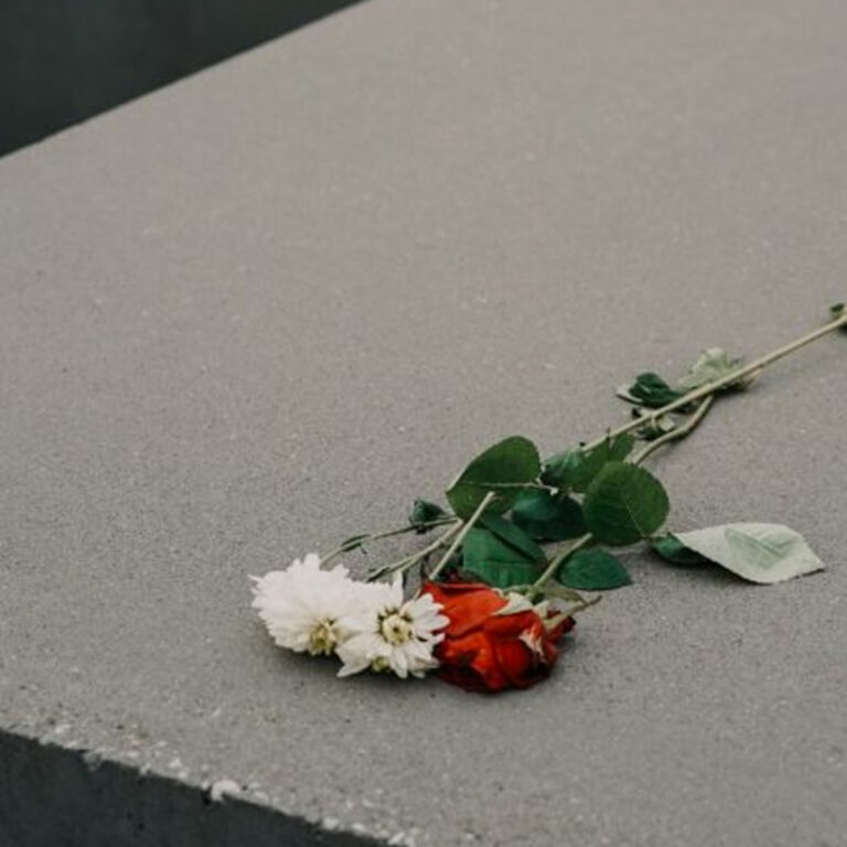 August 8 | Holidays, Birthdays, Events