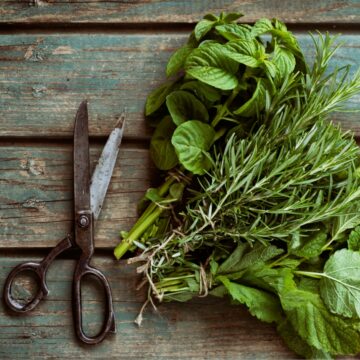 NATIONAL LICORICE DAY - April 12, 2026 - National Today