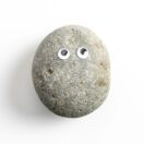 NATIONAL PET ROCK DAY - September 6, 2026 - National Today