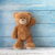 NATIONAL AMERICAN TEDDY BEAR DAY - November 14, 2023 - National Today