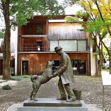 September 14 | Holidays, Birthdays, Events