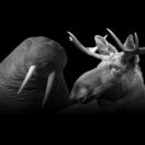 USE LESS STUFF DAY - November 21, 2024 - National Today