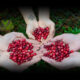 EAT A CRANBERRY DAY - November 23, 2026 - National Today