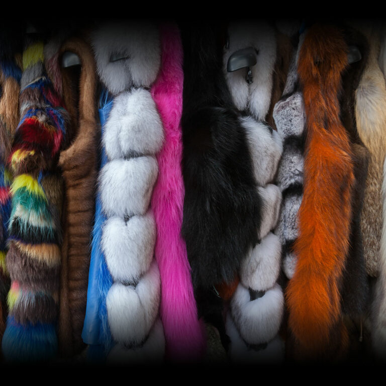 FUR-FREE FRIDAY - November 28, 2026 - National Today