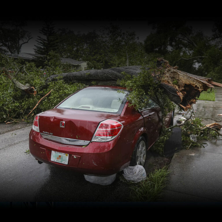 NATIONAL SAVE THE EAGLES DAY - January 10, 2026 - National Today