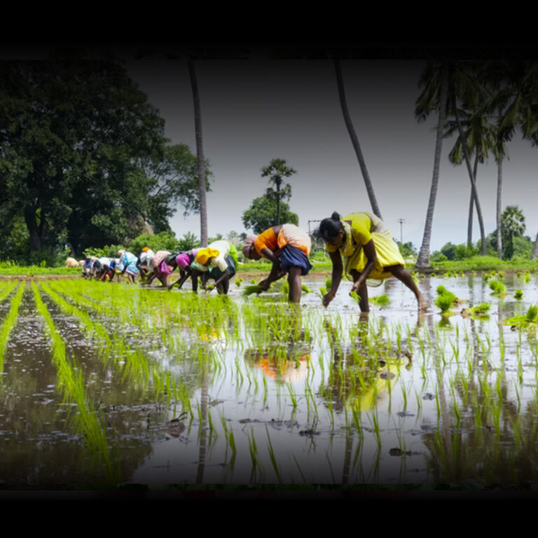 October 15 | Holidays, Birthdays, Events