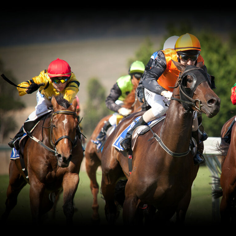 NATIONAL CHOCOLATE COVERED NUT DAY - February 25, 2026 - National Today