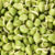 LIMA BEAN RESPECT DAY - April 20, 2027 - National Today