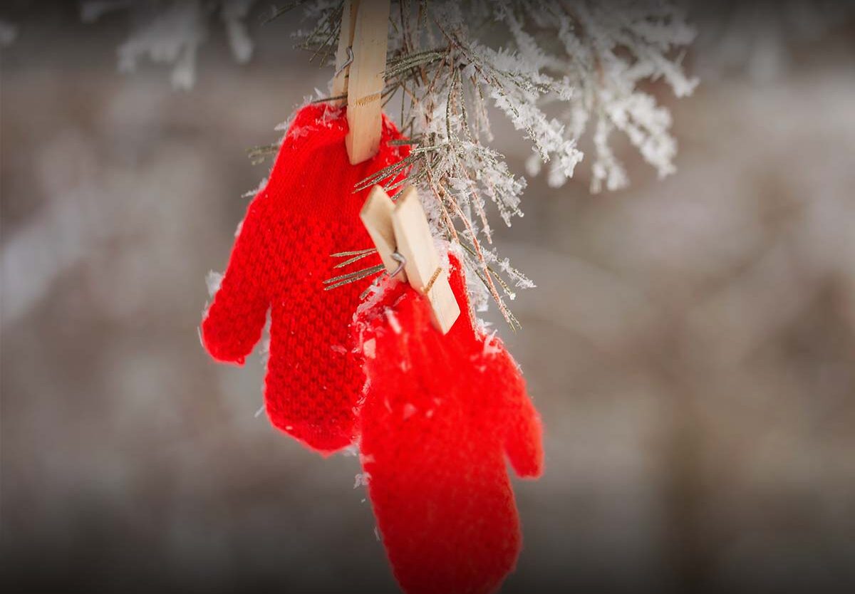 MITTEN TREE DAY December 6 2024 National Today